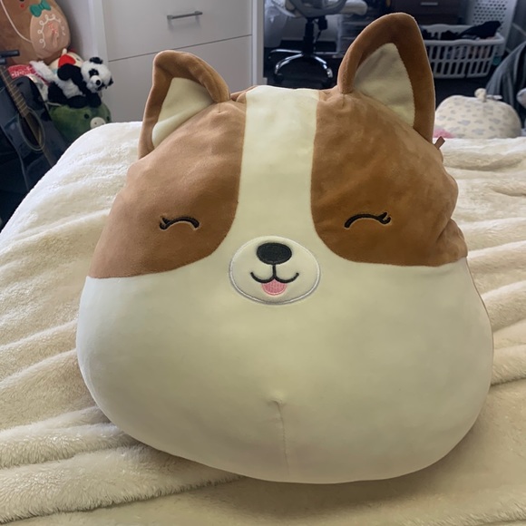Squishmallows | Other | Corgi Squishmallow | Poshmark